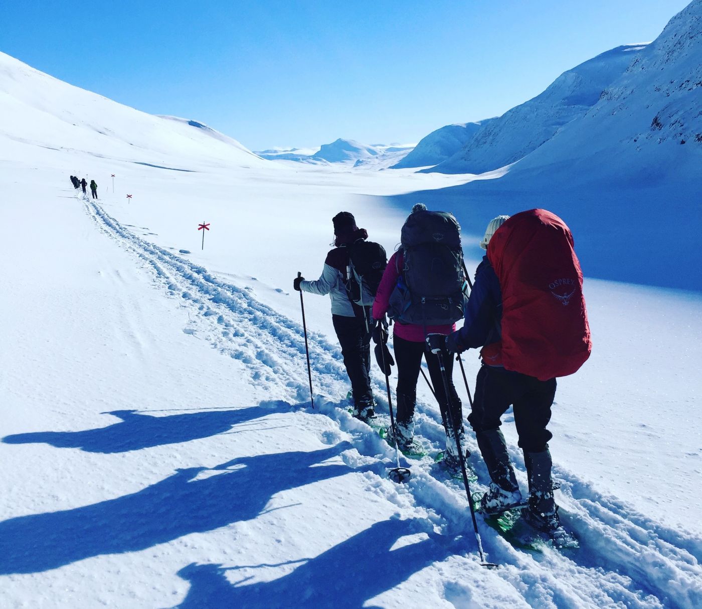 Kings Trail Snowshoe Trek | Northern Lights Trek | Adventurous Ewe